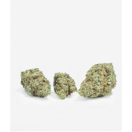 Lemon Tree CBD (Flores) | The Tree CBD | Flores CBD | Precio ☑️