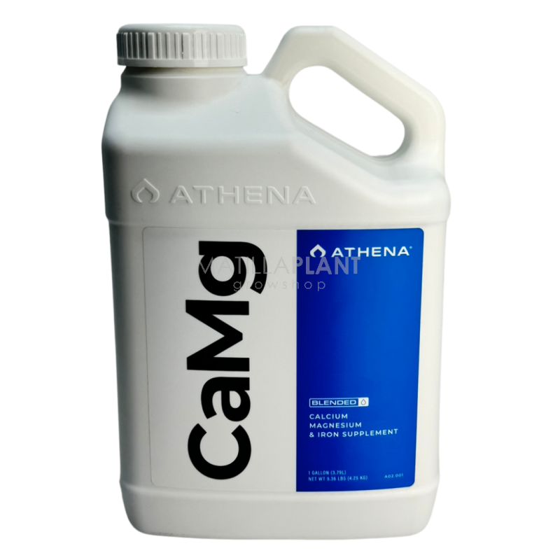 CaMg | Athena | MatillaPlant