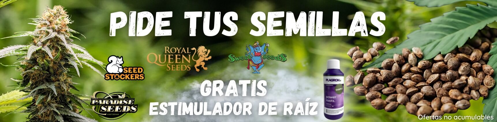 Grow Shop Online El Grow Más Barato en MatillaPlant